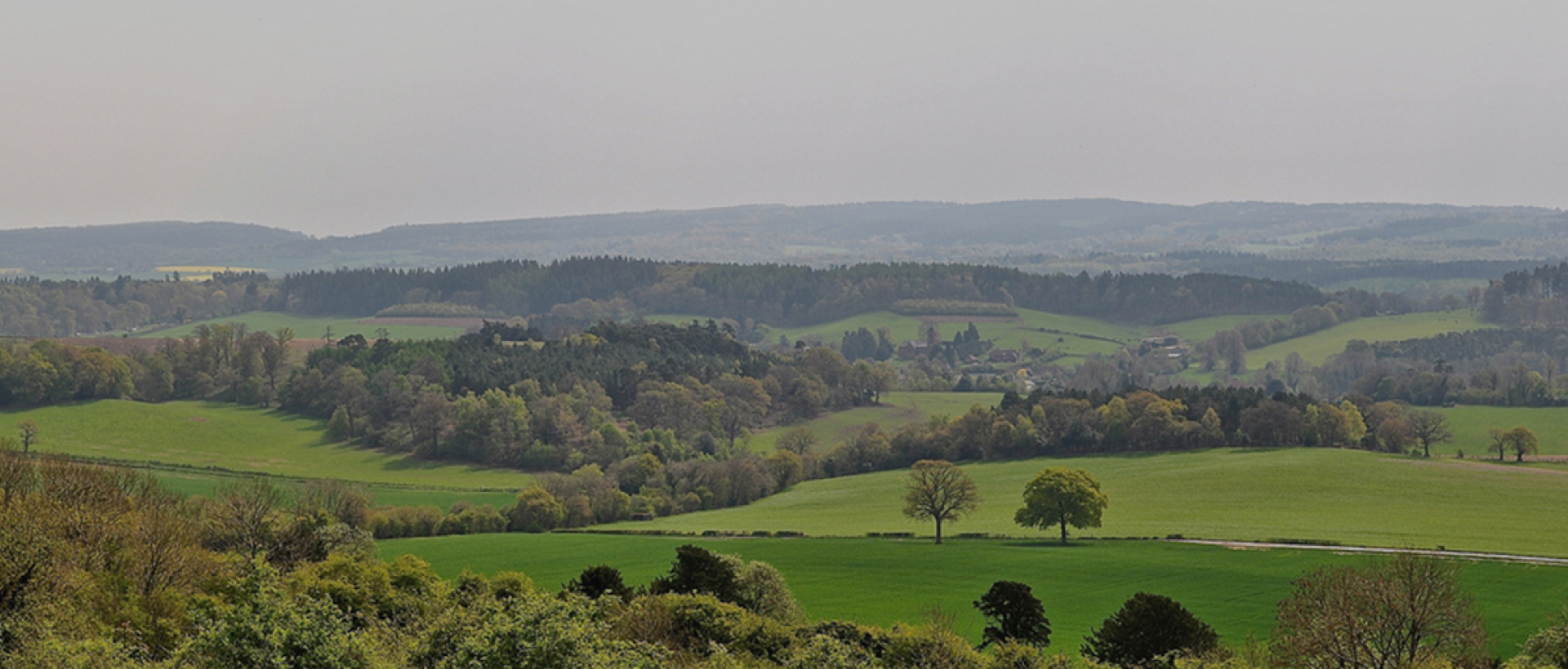 Home - Benchmark Environmental Limited | Full range of waste streams ...