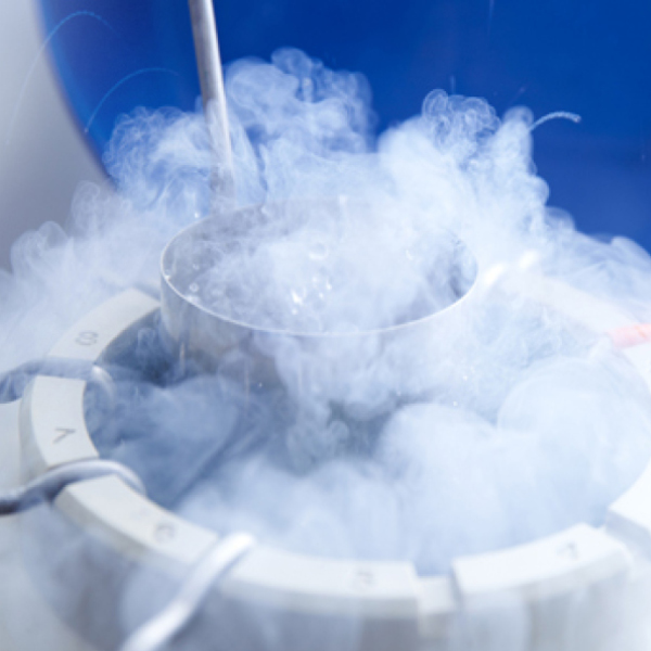 Fertility Treatment Surrey - Local IVF, Egg / Embryo / Sperm Freezing