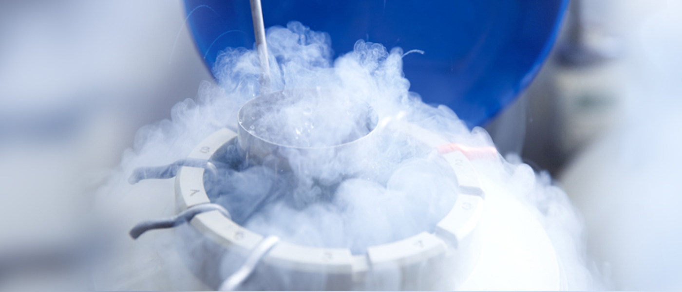 Fertility Treatment Surrey - Local IVF, Egg / Embryo / Sperm Freezing